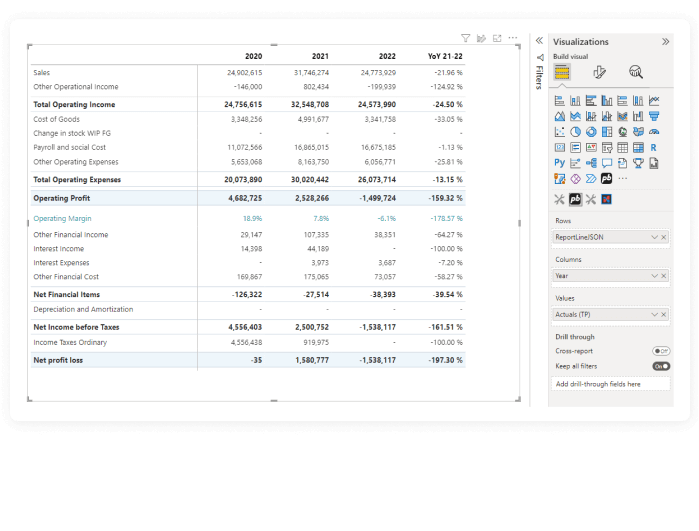 Power BI Financial Statements Profitbase